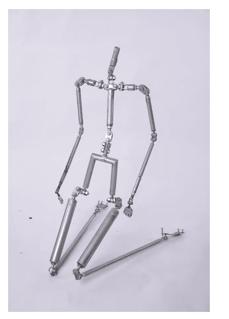 Standard Skeleton and EVO Skeleton - FantasyWives